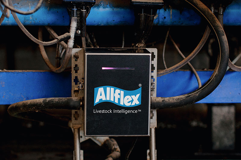 Allflex SenseHub® Dairy | Allflex Australia