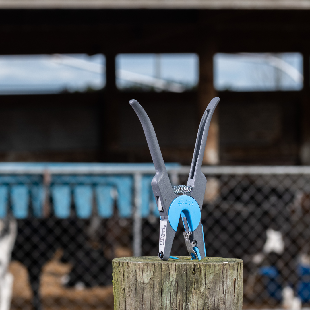 Identification | Visual & Electronic Livestock Identification | Allflex