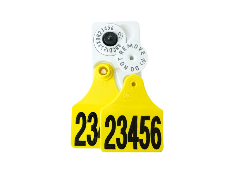 Identification Archives - Page 5 of 8 - Allflex Australia