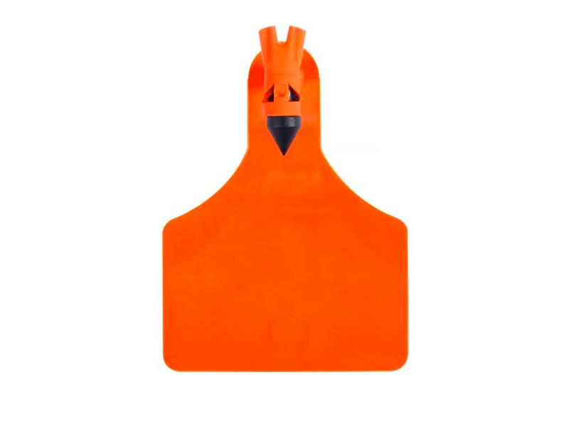 Visual Tag - Large A-Tag - Allflex Australia