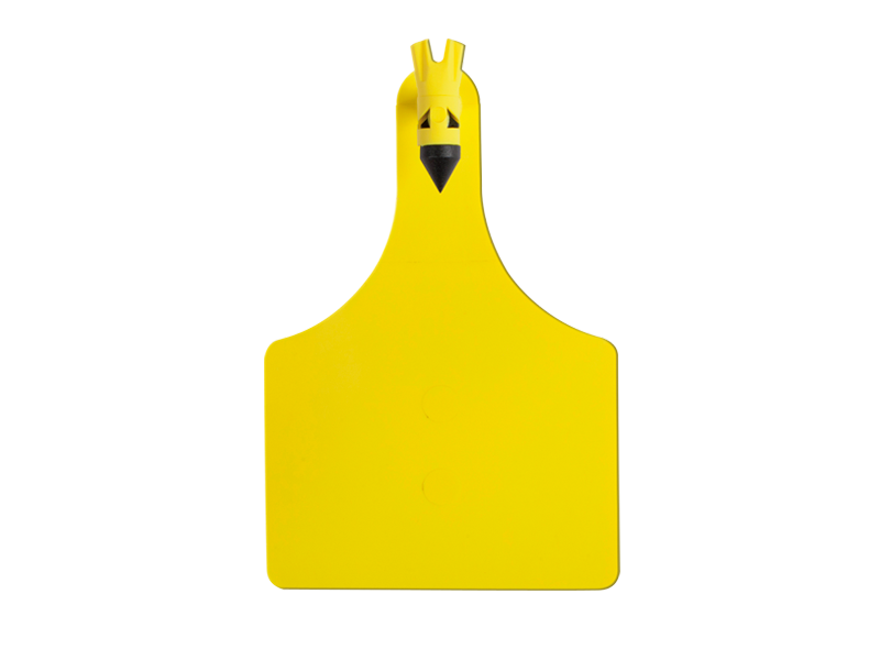 Visual Archives - Allflex Australia