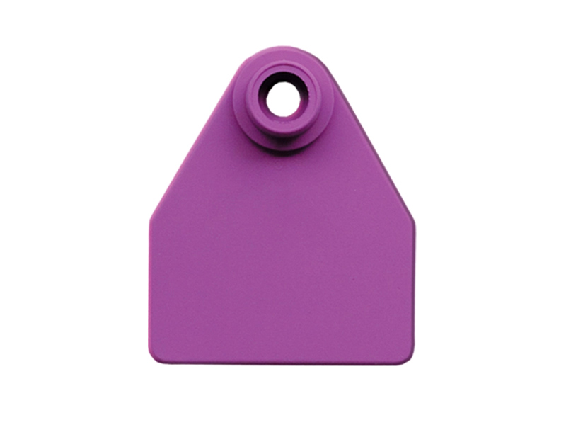 Visual Tag - Small Female - Allflex Australia