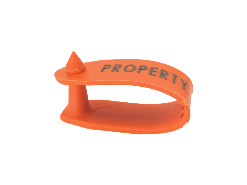 Sheep and goat tags Archives - Allflex Australia