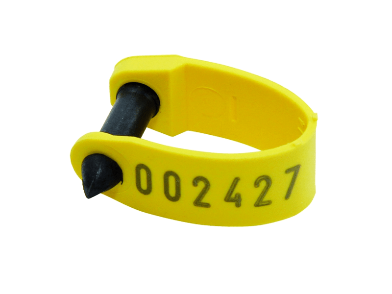 Electronic Tag - RapID Tag - Allflex Australia