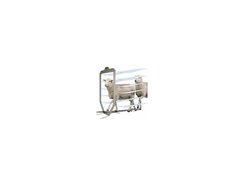 Sheep And Goat Tags | Identification | Allflex Australia
