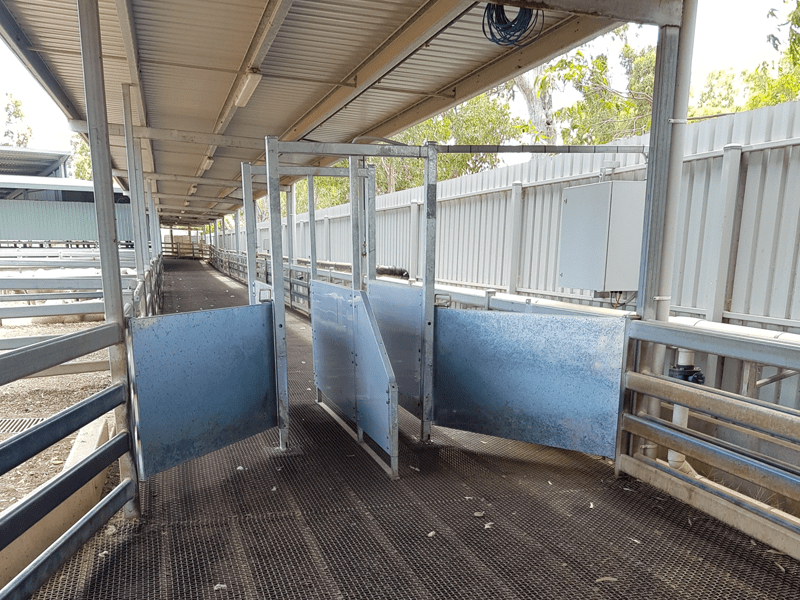 Industrial Readers Archives - Page 2 of 3 - Allflex Australia