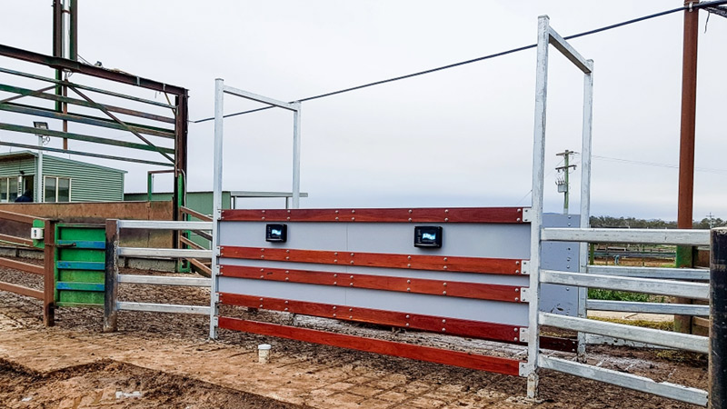 Industrial Readers | EID Livestock Readers | Allflex Australia