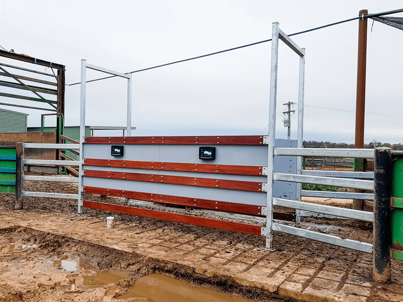 Industrial Readers Archives - Page 2 of 3 - Allflex Australia