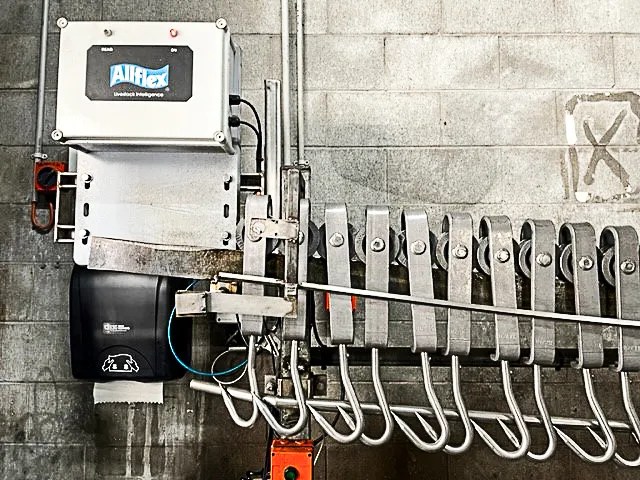 Abattoir Products Archives - Allflex Australia