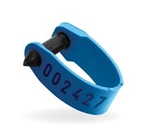 Sheep EID tags - Allflex Australia