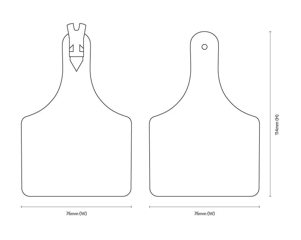 Visual Tag - Maxi A-Tag - Allflex Australia