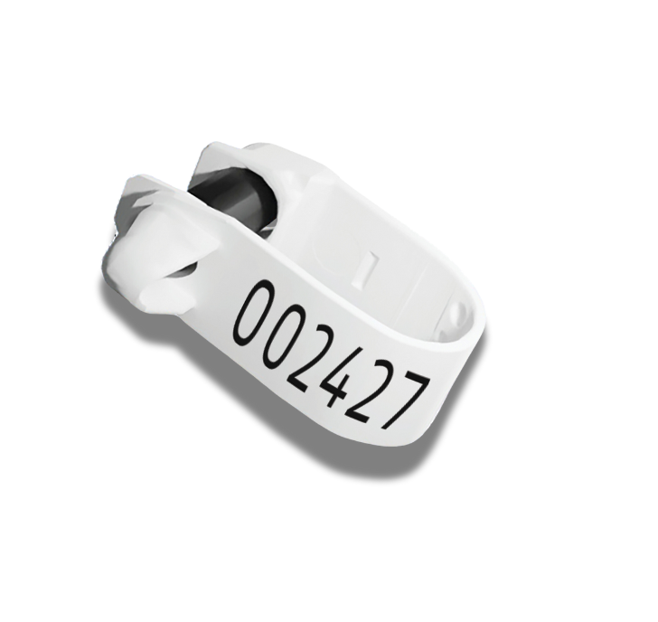 Electronic Tag - RapID Evo Tag (currently unavailable) - Allflex Australia